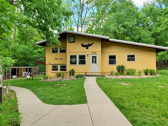 The Glen Helen Raptor Center gives injured birds of prey a second chance. That silhouette of a hawk above the door? Not just decoration—it's a mission.