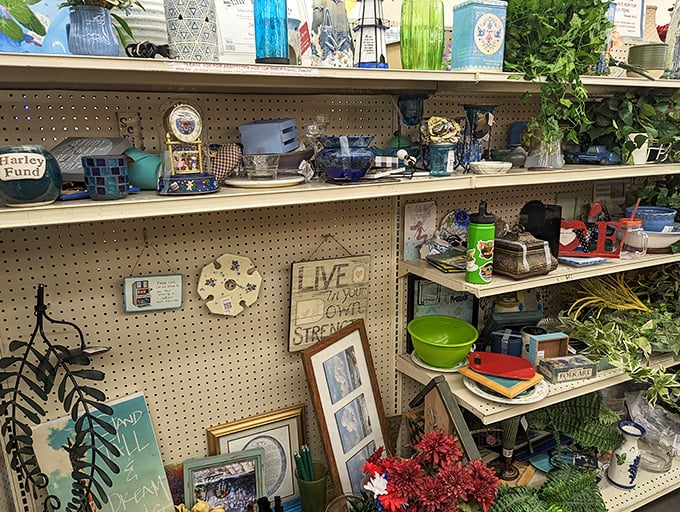 Home décor shelves overflow with personality and potential. That "Live Laugh Love" sign might be exactly what your guest bathroom has been missing.