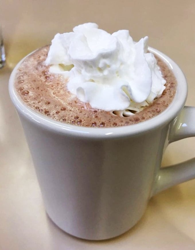Hot chocolate topped with a cloud of whipped cream—because sometimes coffee needs to step aside for something sweeter.