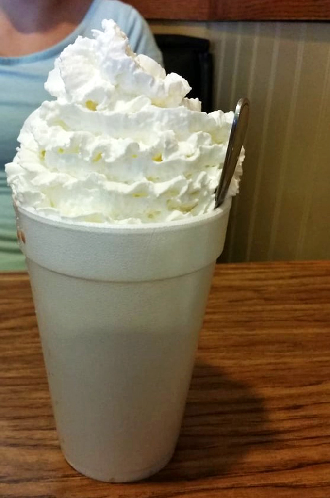 Whipped cream mountain atop hot chocolate lake—winter's perfect consolation prize for having to put on real pants in the morning.