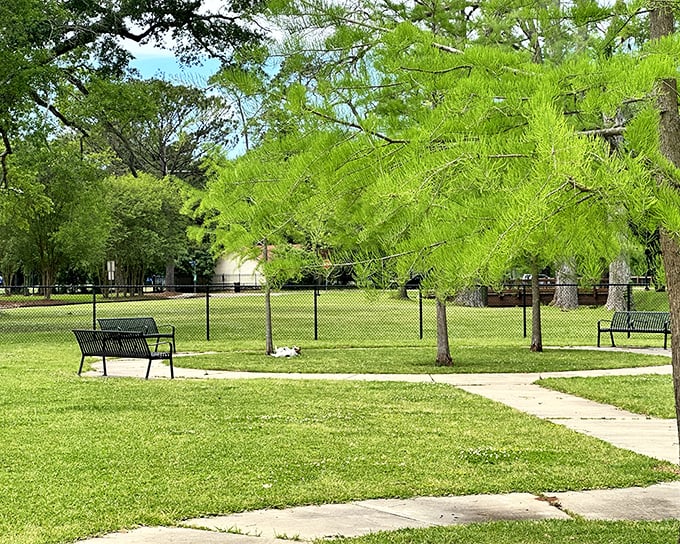 Alexandria's parks offer tranquil green spaces where benches invite you to sit a spell—Southern for "relax without spending a dime."