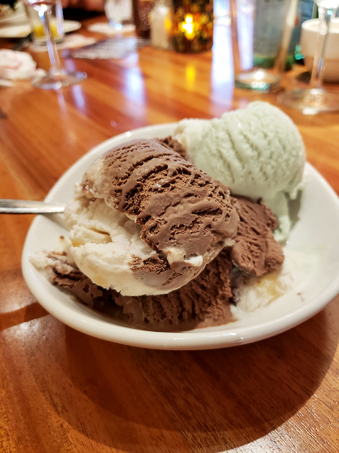 Ice cream that understands sometimes you need three flavors to properly end a meal. Chocolate, vanilla, and mint – the holy trinity of dessert.
