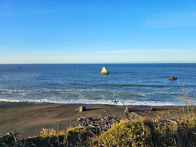 Jenner Beach stretches toward infinity, where the rhythm of waves provides the soundtrack to California's most perfect meditation space.