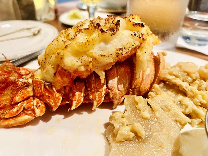 This lobster tail isn't just dinner—it's a celebration on a plate. Sweet meat perfectly prepared alongside creamy sides makes for an unforgettable feast.
