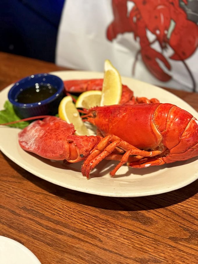 The king of the New England table, presented with regal simplicity—a whole lobster that needs nothing more than drawn butter and lemon.