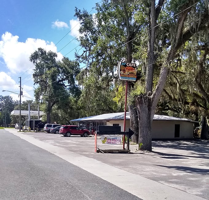 Mayo Cafe serves up the kind of honest breakfast that fuels farmers, retirees, and visitors alike—where coffee refills come with local gossip at no extra charge.