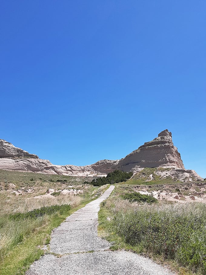 Hiking trails wind through ancient formations, offering million-dollar views that ironically help make Scottsbluff one of America's most affordable small towns.