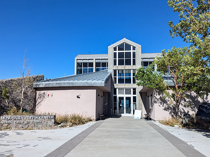 The Mono Basin Visitor Center – architectural proof that information centers don't have to look like they were designed by the DMV.