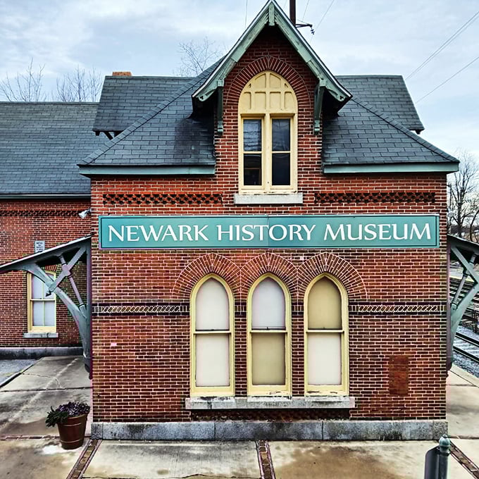 Victorian charm houses Newark's storied past. The History Museum's distinctive brick architecture is as compelling as the artifacts inside.
