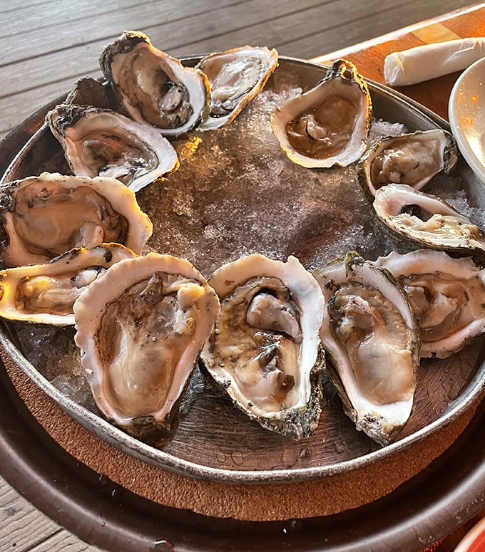 These oysters aren't just served—they're presented like the coastal jewels they are, ready for a squeeze of lemon.