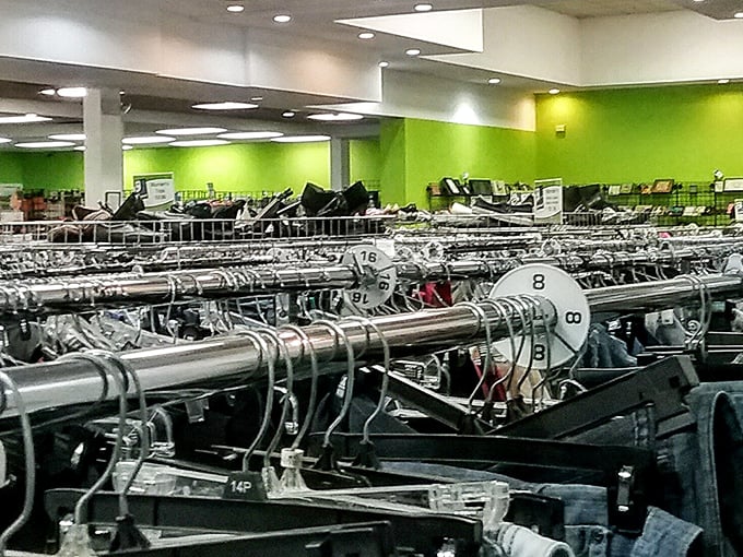 The clothing forest, where size markers serve as trail guides through a wilderness of fashion possibilities. The thrill of the hunt in retail form.
