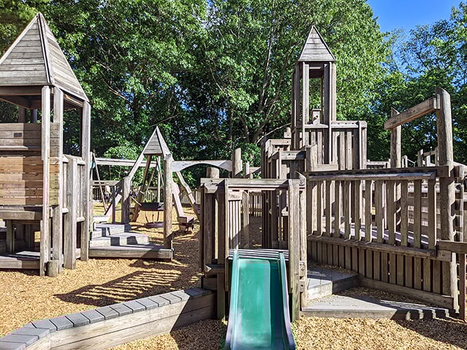 Planet Playground's wooden wonderland proves that childhood adventure doesn't need batteries or Wi-Fi—just imagination and the occasional slide for quick escapes.