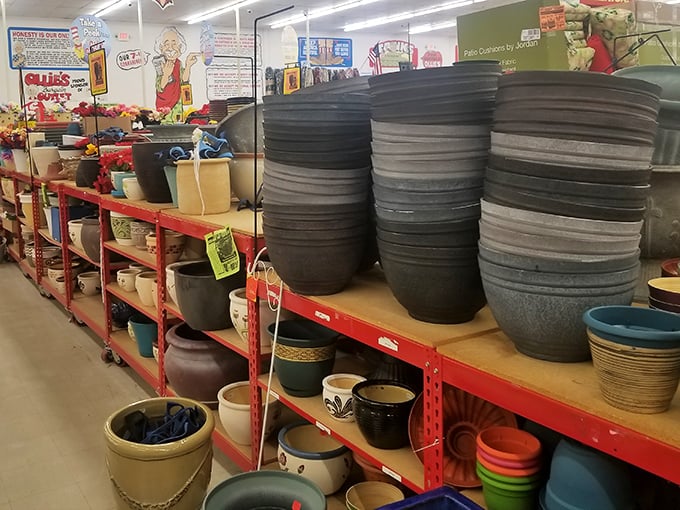 Garden pot nirvana – where your houseplant addiction becomes surprisingly affordable and "just one more plant" seems entirely reasonable.
