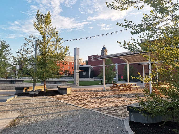 Prairie Creek Park offers nature's version of meditation—a wooden dock extending into tranquil waters where your blood pressure drops faster than the stock market in 2008.