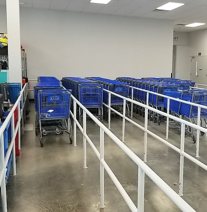 The chariots await their knights of thrift – empty carts standing ready for the next wave of bargain crusaders.