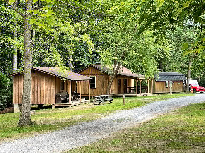Rustic cabins nestled among towering trees offer the perfect middle ground between roughing it and comfort – camping with actual walls.