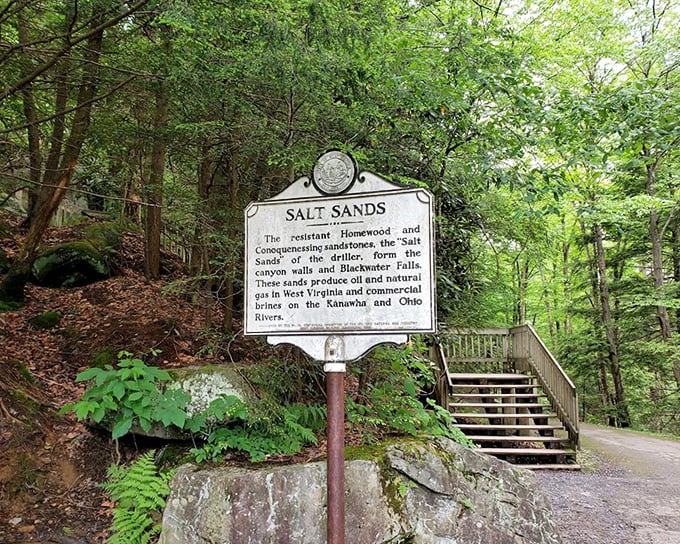 The Salt Sands marker—where geology lessons meet outdoor adventure. These ancient sandstones have stories to tell for those willing to listen.