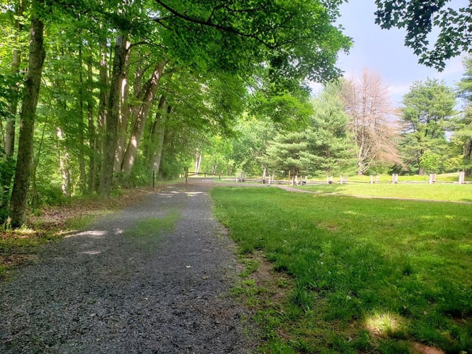 Sunlight filters through the canopy, creating nature's stained glass. This path invites contemplation at a pace our ancestors would recognize.