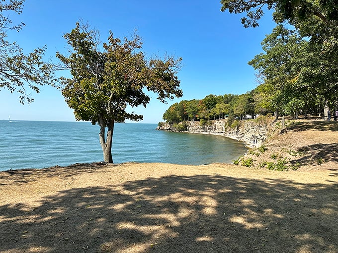 Lake Erie's front porch. South Bass Island State Park offers shoreline serenity where limestone meets freshwater—nature's perfect combination for contemplation.