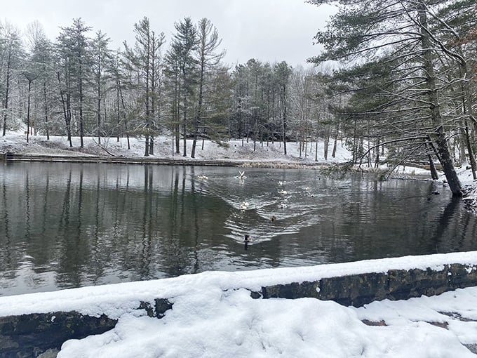 Winter transforms Kingdom Come into a hushed wonderland where snow-dusted pines frame the glassy stillness of the park's lake.
