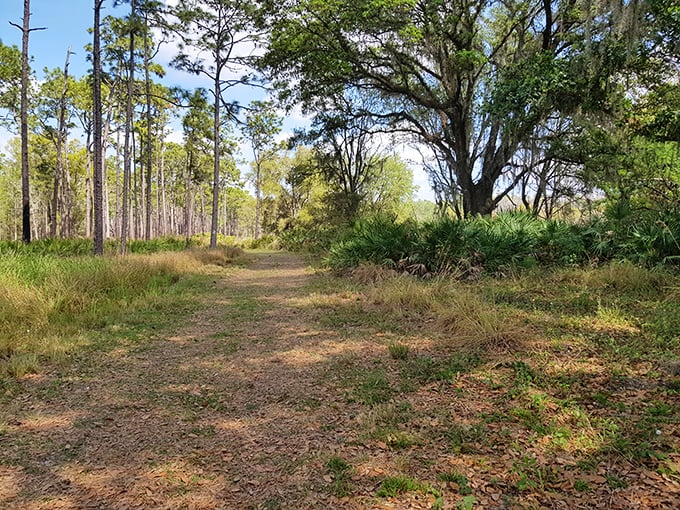 Where the wild things are. This trail promises adventures without requiring the fitness level of a National Geographic explorer.