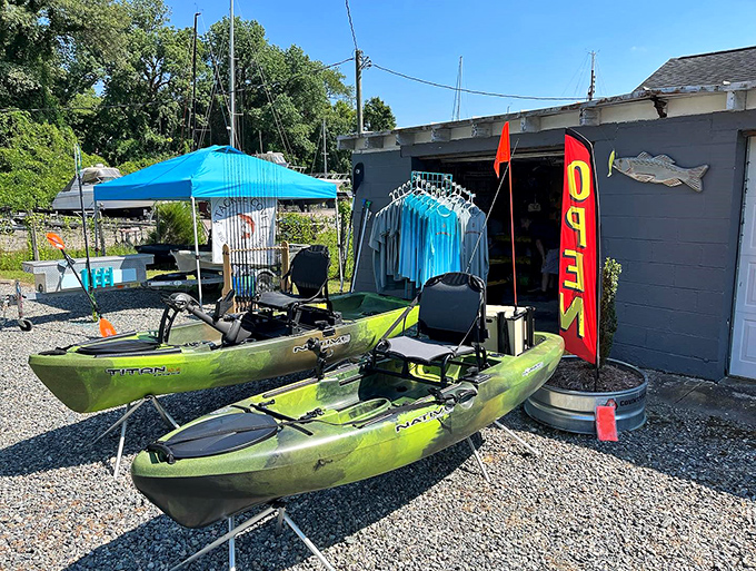 Adventure awaits at Tackle Cove, where these kayaks aren't just watercraft—they're your ticket to Irvington's hidden coves and inlets.