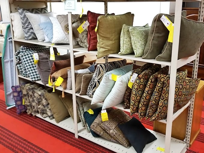 Pillow paradise! The perfect accent pillows await, ready to transform "just a couch" into "that amazing sofa everyone comments on."