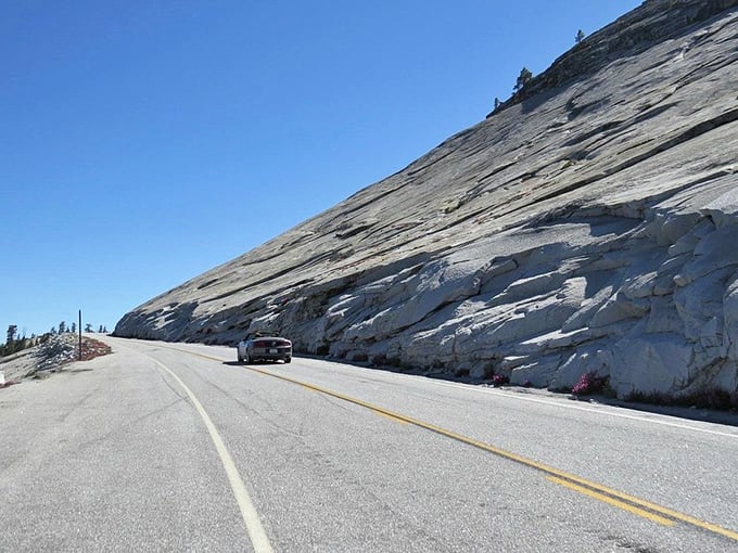 Where the road hugs the mountain like it's afraid of heights. This stretch of asphalt delivers more drama than your favorite Netflix series.