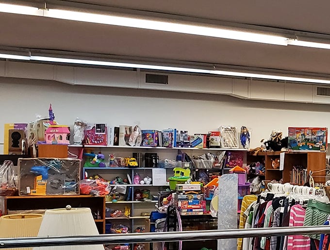 Childhood joy stacked on shelves – where yesterday's must-have toys become tomorrow's vintage collectibles. That green plastic dinosaur has stories to tell.