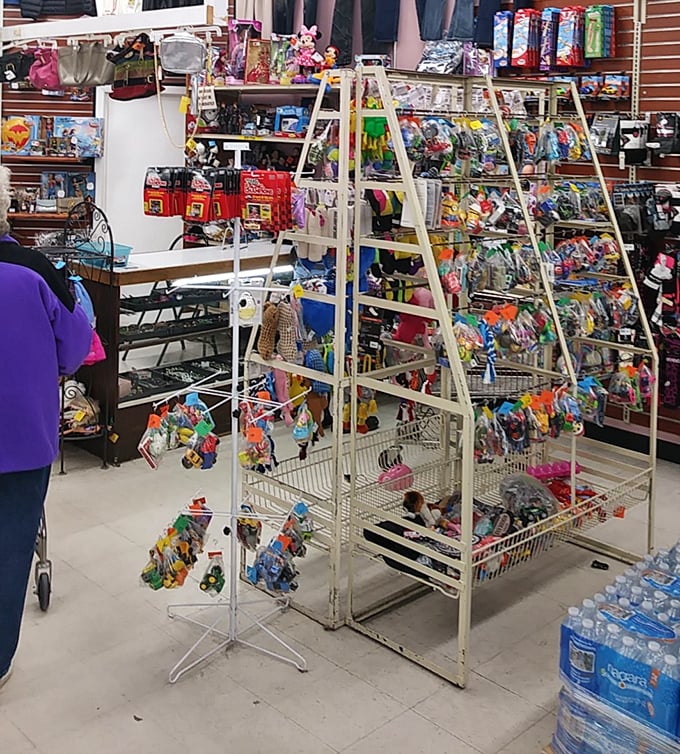 The toy section: where childhood memories and future garage sale items live together in colorful, plastic harmony.