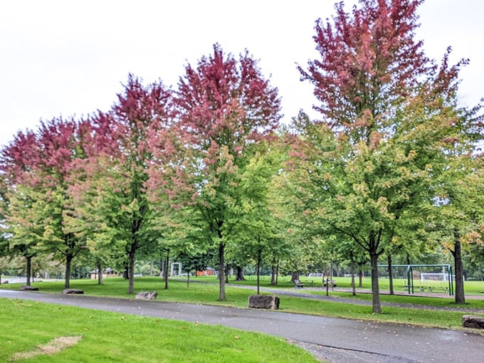 Parking with a view – where your car gets the VIP treatment while you wander off to discover riverside trails.
