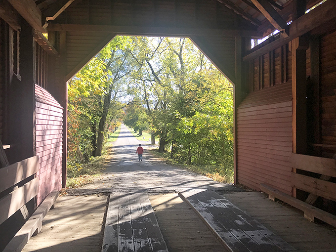 Looking outward from within—the bridge frames the path ahead like a living painting. Light at the end of the tunnel never looked so inviting.