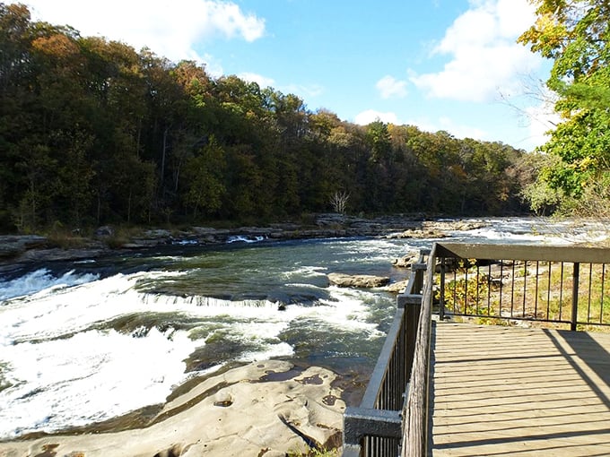 From this viewing platform, the rushing waters of Ohiopyle Falls perform their endless symphony—nature's version of front-row seats.