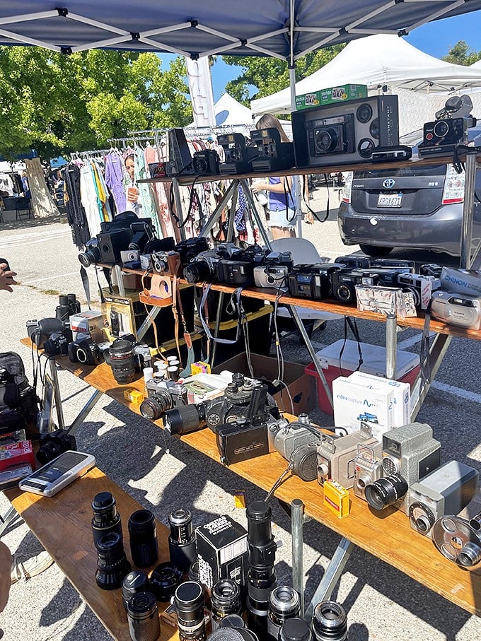 Mechanical marvels from the pre-digital era. Before smartphones, photography required patience, skill, and these beautiful machines.
