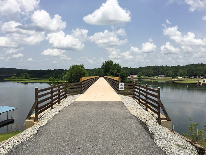 The Yoholo Micco Trail stretches before you like nature's welcome mat, inviting leisurely strolls where the only rush hour is a family of ducks crossing.