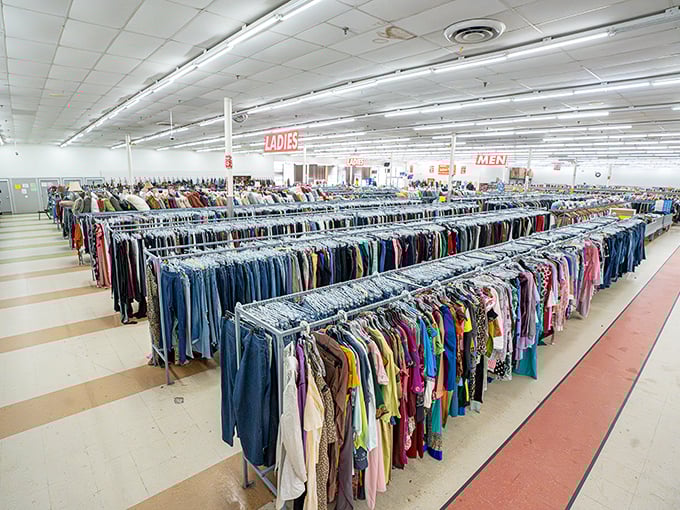 A textile ocean where every garment tells a story. Some were bestsellers, others barely made it past the first chapter.