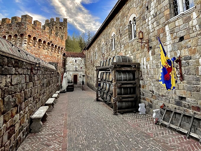 Medieval corridors lined with wine barrels—proof that some ancient traditions are absolutely worth preserving.