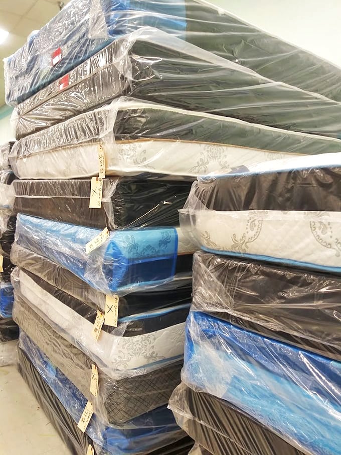 Mattress mountain! Because nothing says "adulting achievement unlocked" like finding a practically new mattress at thrift store prices.