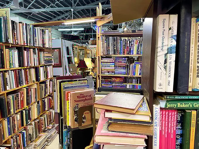 Literary treasures stacked floor to ceiling—a bibliophile's dream come true. Spot that copy of "The History of Sunnybank" peeking out among countless spines.