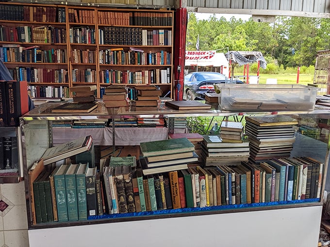 Bibliophiles, prepare to lose track of time! These shelves hold forgotten classics and unexpected gems waiting for their next chapter in your home library.