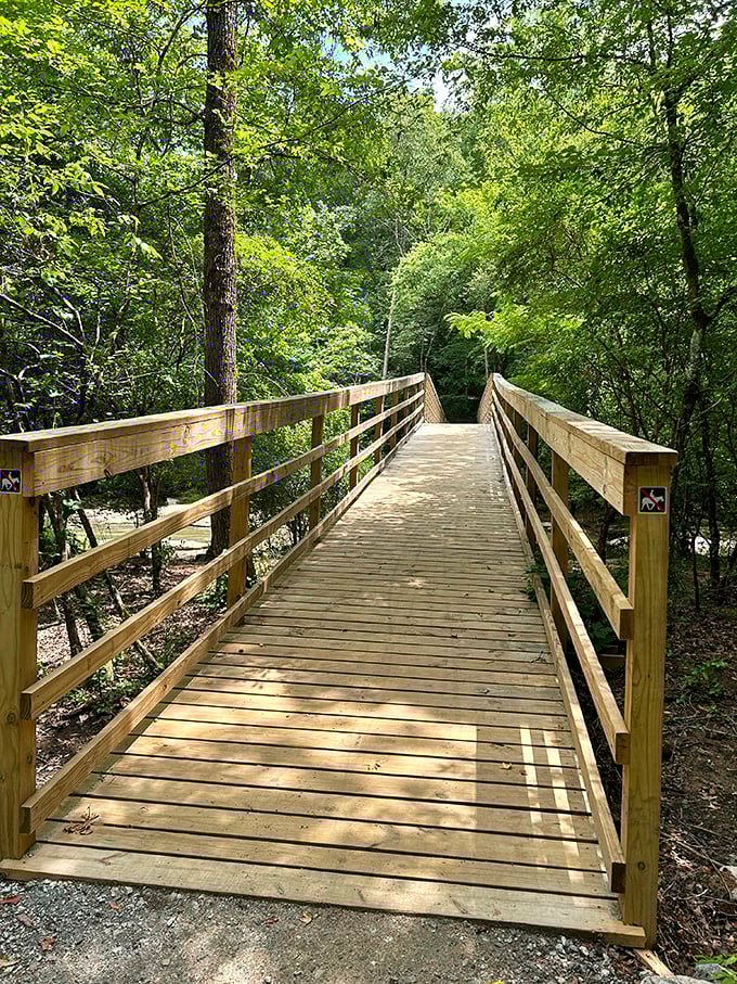 This wooden bridge isn't just crossing a stream—it's crossing the threshold between your regular life and your "why don't I do this more often" life.