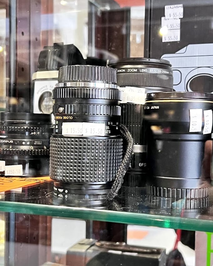 Camera lenses waiting for their next adventure—each one a time machine capable of freezing moments for future generations.