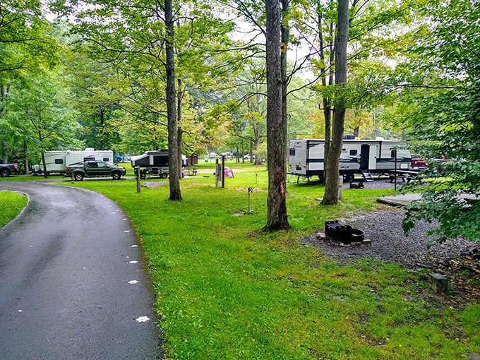 Camping with conveniences—where you can commune with nature while still having neighbors close enough to borrow that forgotten bottle opener.
