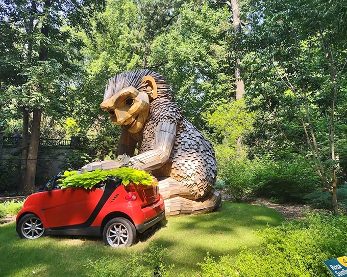 "Honey, I think we parked in the wrong spot!" A wooden giant seems quite interested in that little red car—perhaps the ultimate carpool companion.