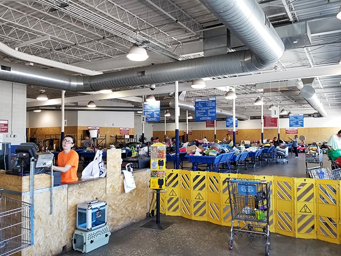The checkout area – where treasures are weighed, not judged. Staff have seen it all, from the mundane to the magnificent, passing through on the recycling journey.