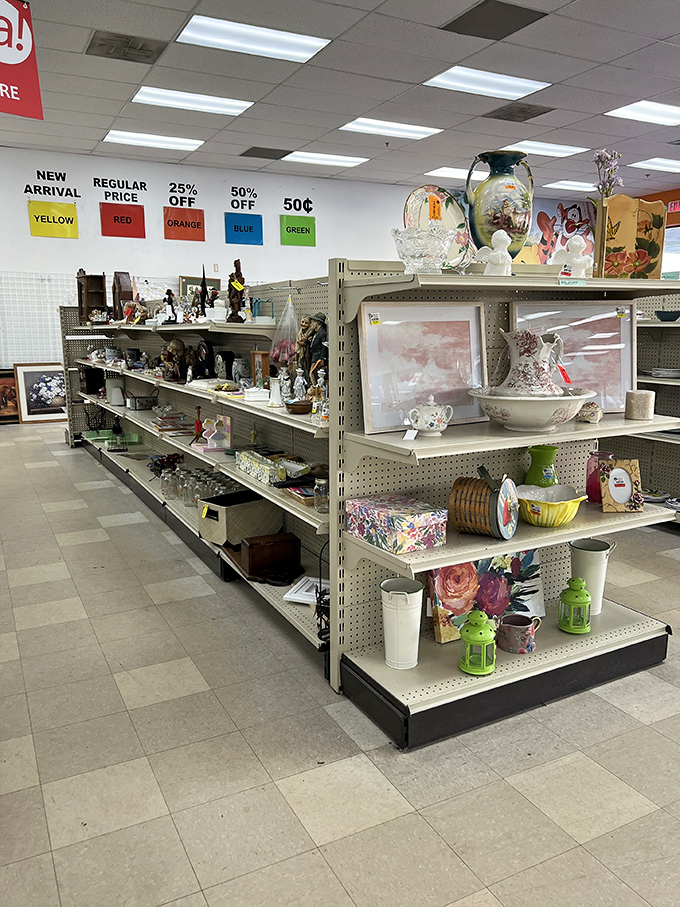 Color-coded pricing signs hang above shelves of decorative treasures. The thrill of finding that perfect ceramic vase for $2 is better than any luxury shopping spree.
