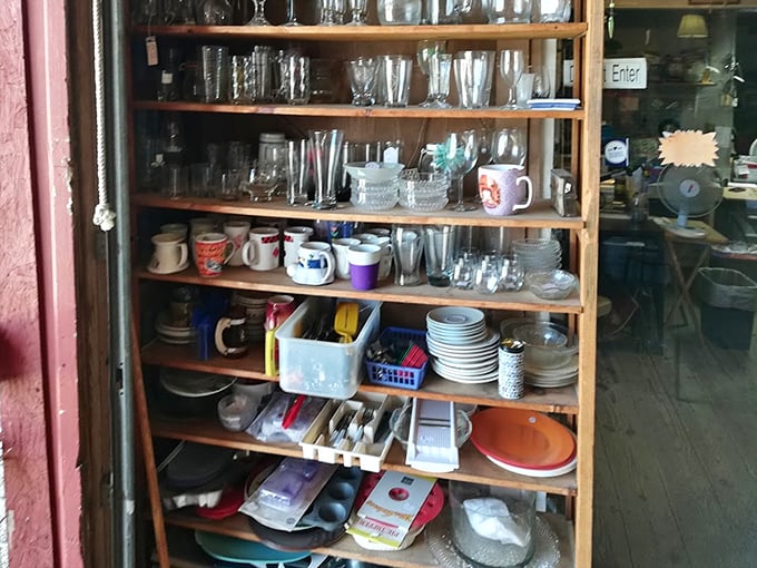 Mismatched plates and forgotten glassware find new purpose here—one person's castoff becomes another's perfectly "curated" dining collection.