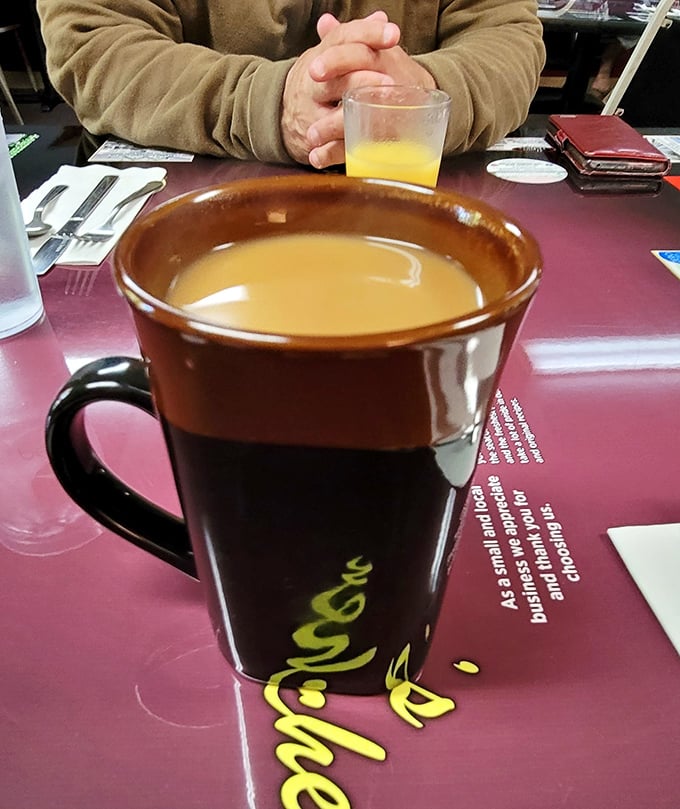 That coffee mug isn't just large – it's practically a commitment. The kind of serious caffeine vessel that says, "I've got stories to tell."