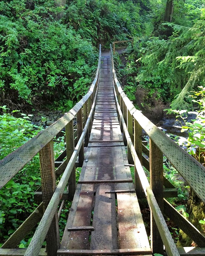 Crossing this bridge feels like stepping into a Ghibli film—half expecting forest spirits to appear between the trees.