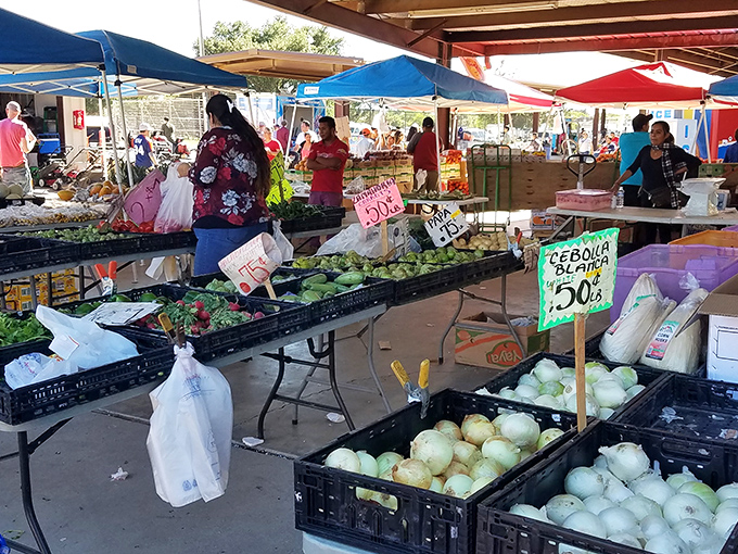 Farm-to-flea-market freshness on display. These vegetables didn't travel across continents to reach your table—they probably came from just down the road.